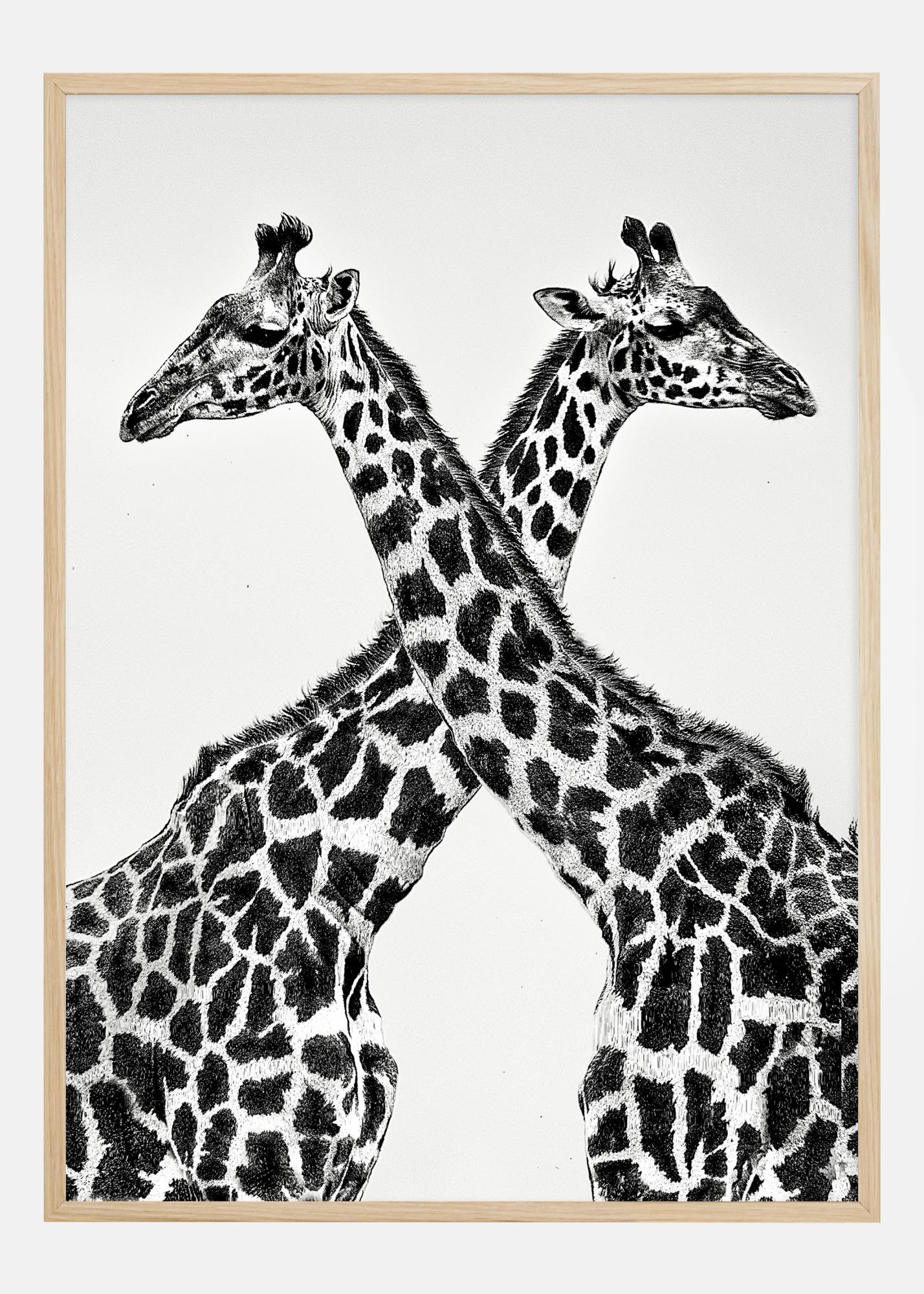 Køb Two giraffe towers Plakat her - BGA.DK