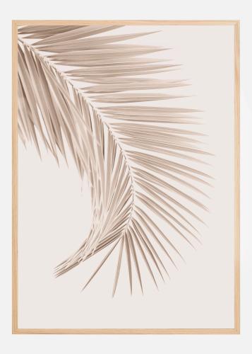 Køb Tan Leaf Plakat her - BGA.DK