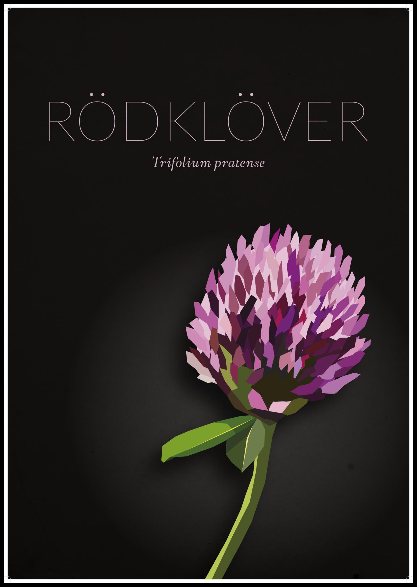 Køb Plakat her - BGA.DK