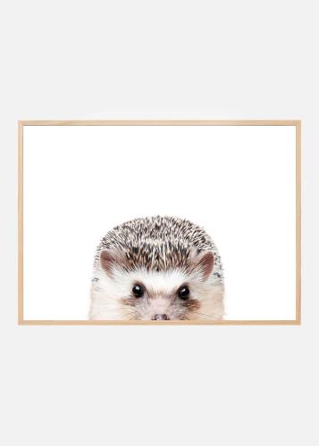 Køb Peeking Hedgehog Plakat her - BGA.DK