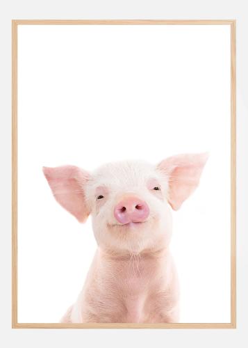 Køb Baby Pig Plakat her - BGA.DK