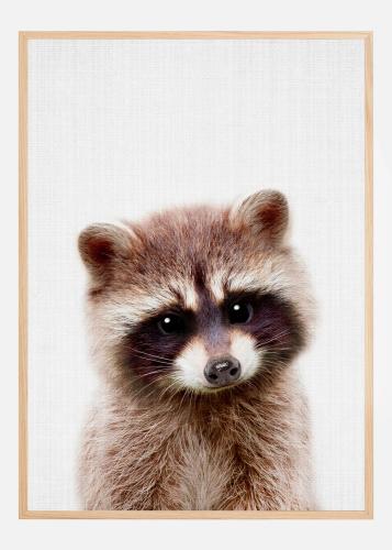 Køb Peekaboo Raccoon Plakat her - BGA.DK