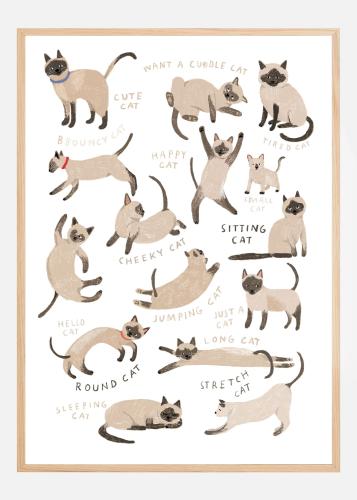 Køb Siamese Cat Print Plakat her - BGA.DK